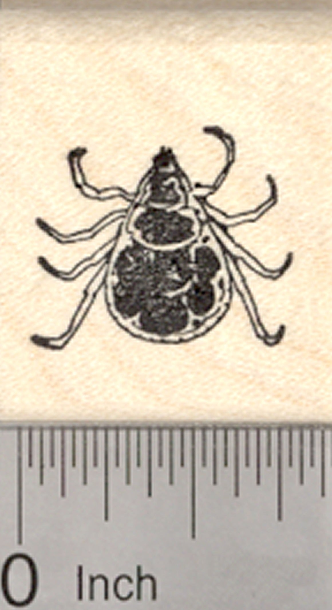 Bug Rubber Stamps - RubberHedgehog Rubber Stamps