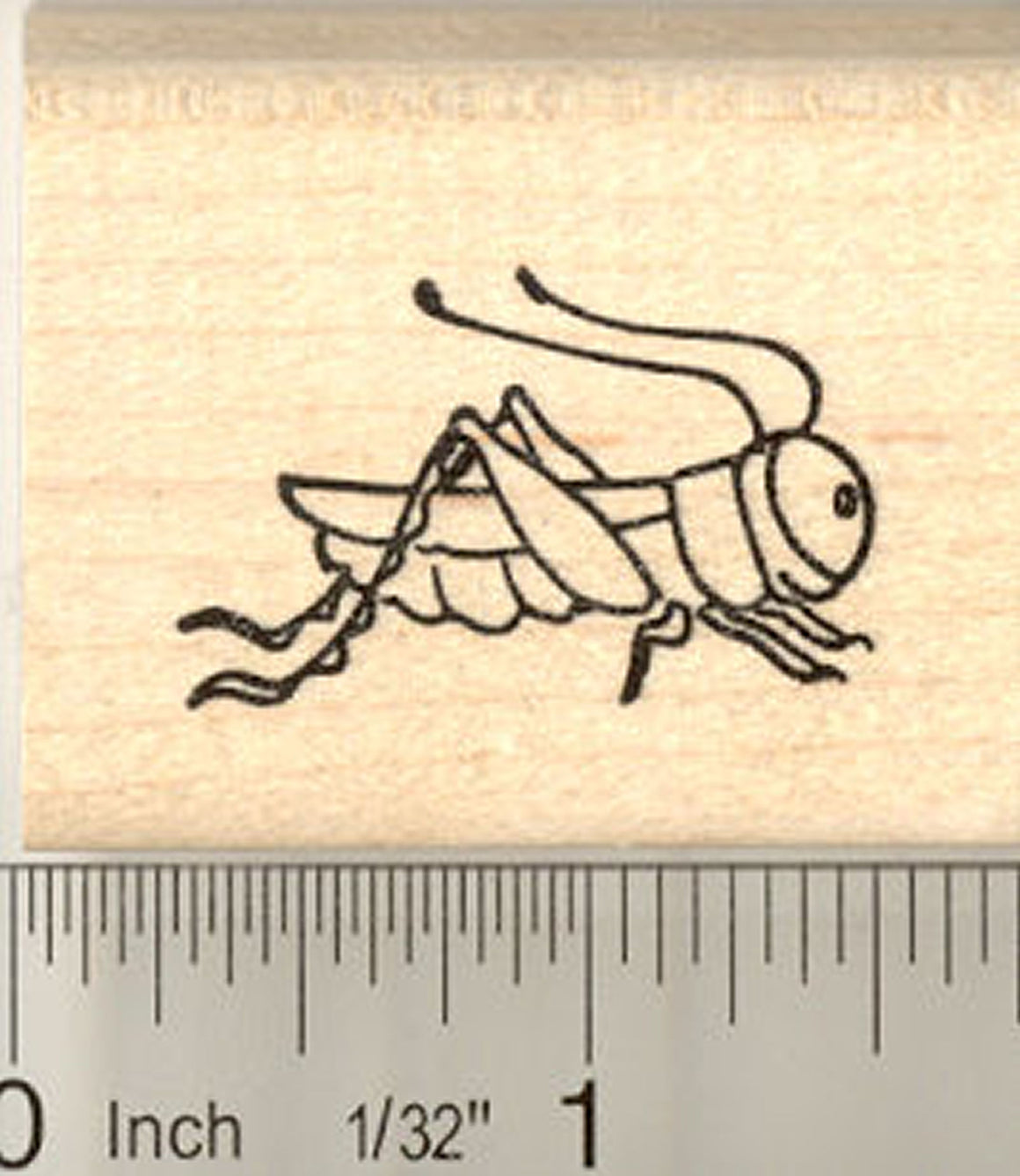 Bug Rubber Stamps - RubberHedgehog Rubber Stamps