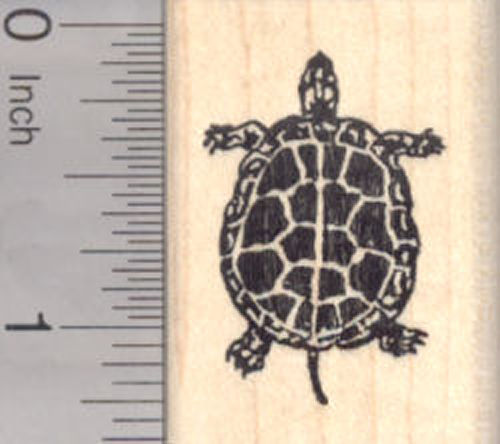 Reptile Rubber Stamps - RubberHedgehog Rubber Stamps