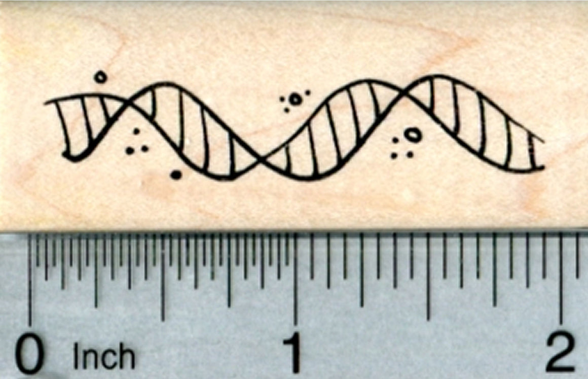 Science Rubber Stamps - RubberHedgehog Rubber Stamps