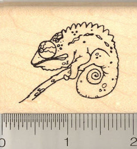 Chameleon Rubber Stamp – RubberHedgehog Rubber Stamps