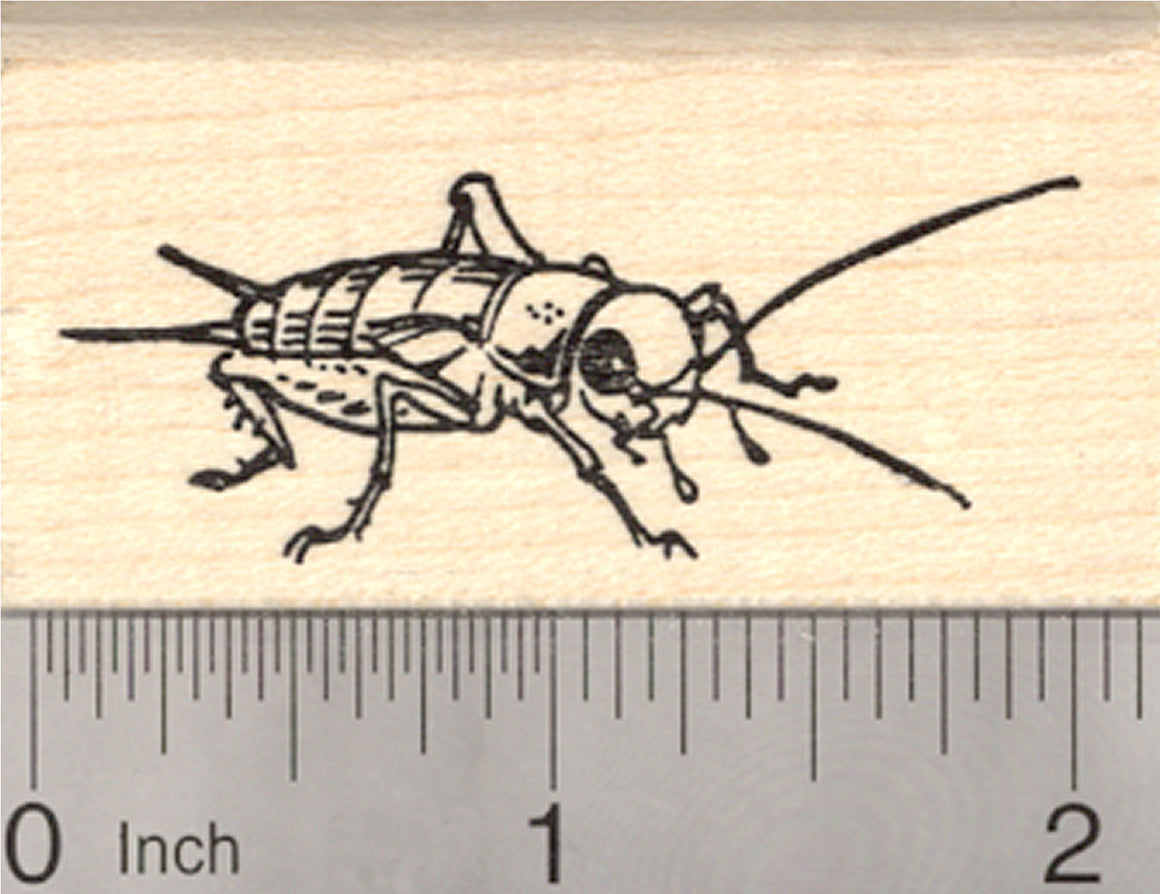 Bug Rubber Stamps - RubberHedgehog Rubber Stamps