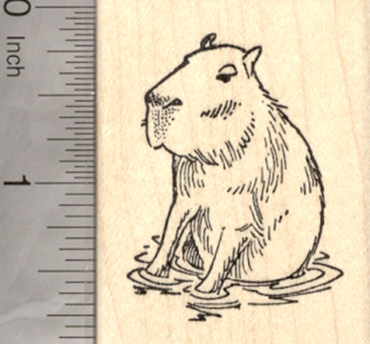 Capybara Rubber Stamp – RubberHedgehog Rubber Stamps