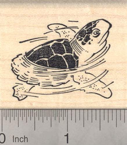 Reptile Rubber Stamps - RubberHedgehog Rubber Stamps