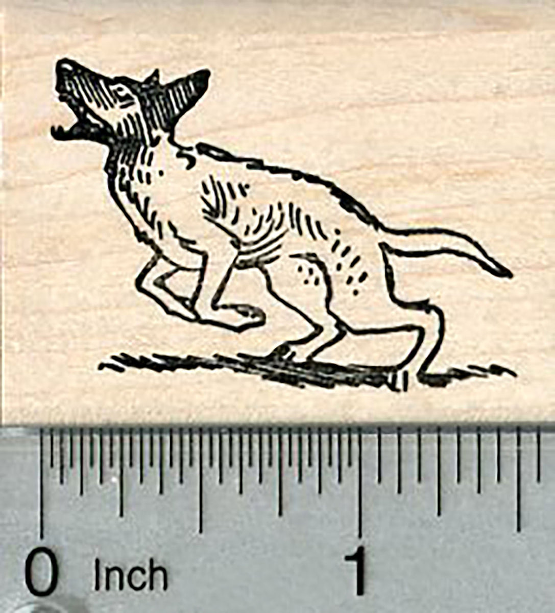 Belgian Malinois Rubber Stamp, Dog Running – RubberHedgehog Rubber Stamps