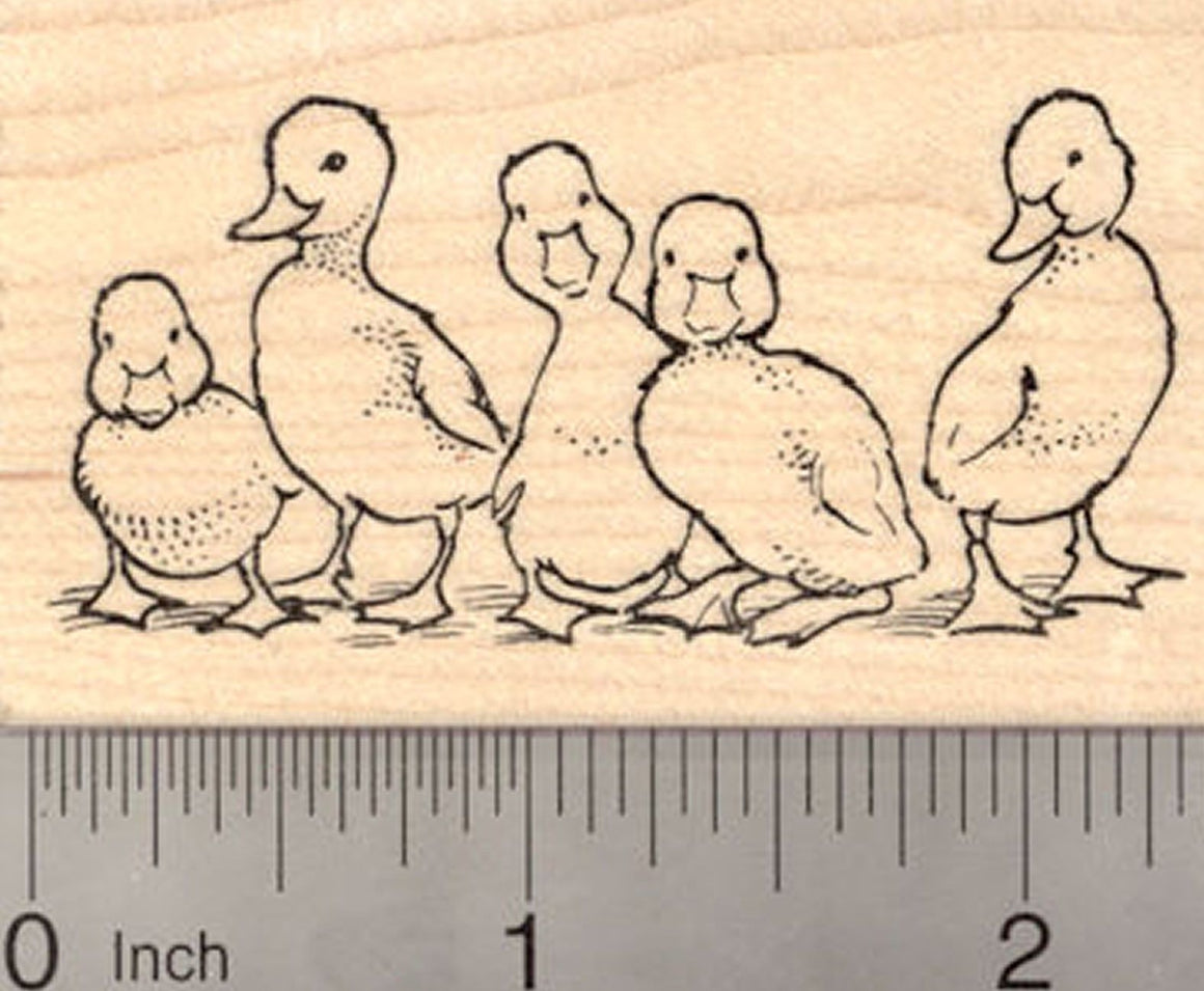 Row of Ducklings, Duck Rubber Stamp – RubberHedgehog Rubber Stamps