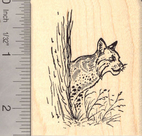 North American Bobcat Rubber Stamp – RubberHedgehog Rubber Stamps