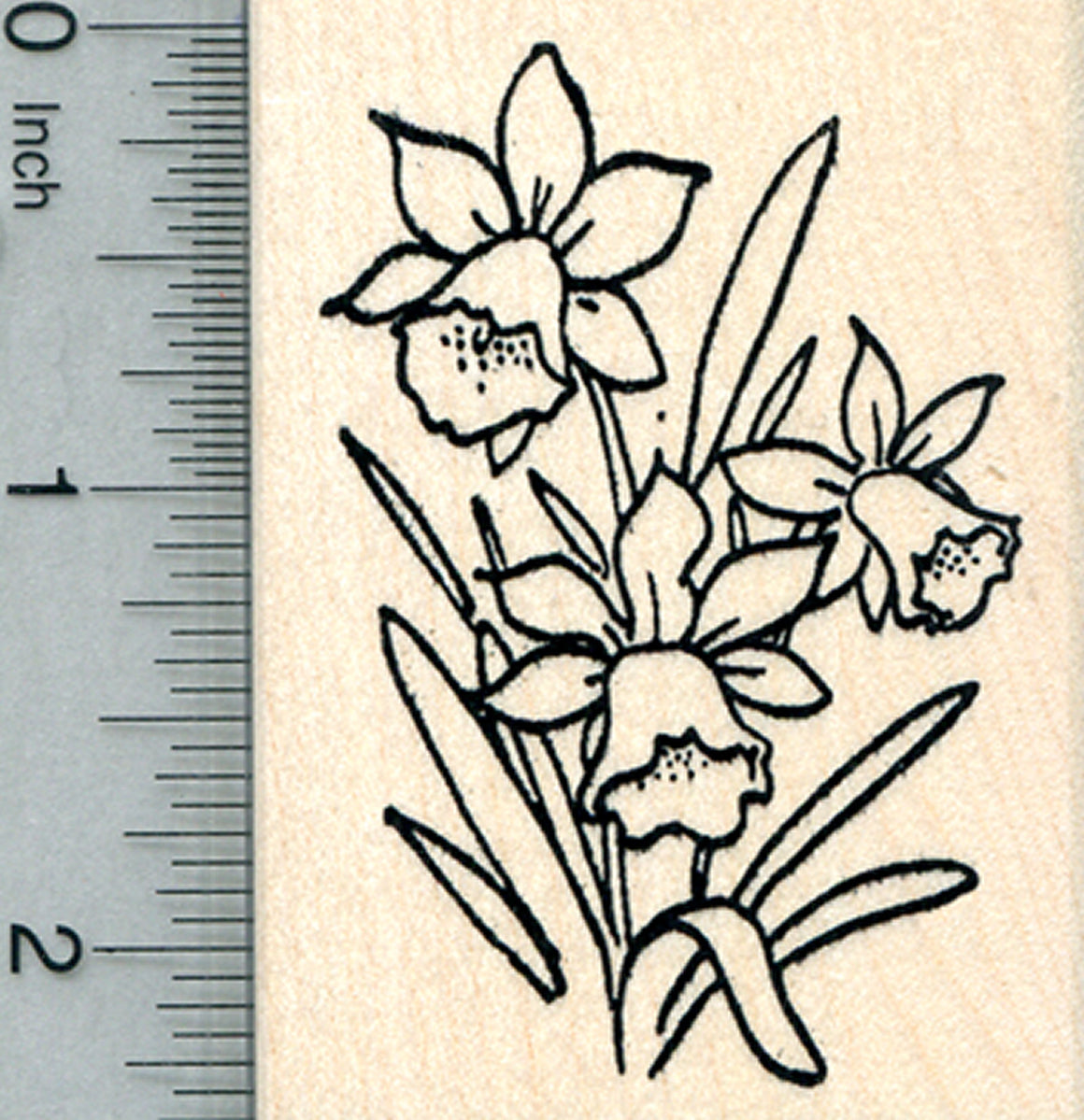 Daffodil Flower Rubber Stamp, Summer Floral Series – RubberHedgehog ...