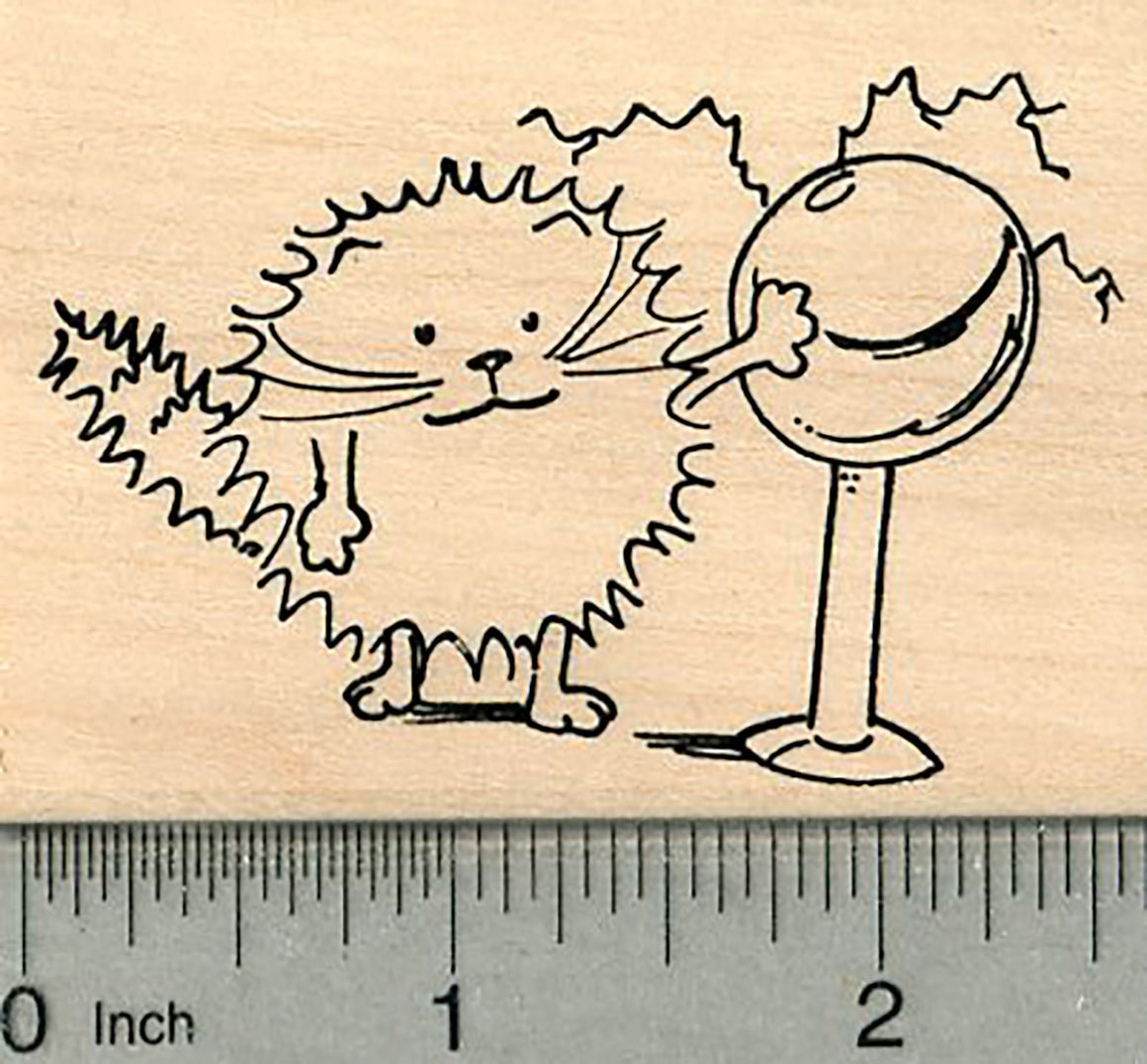 Science Rubber Stamps - RubberHedgehog Rubber Stamps