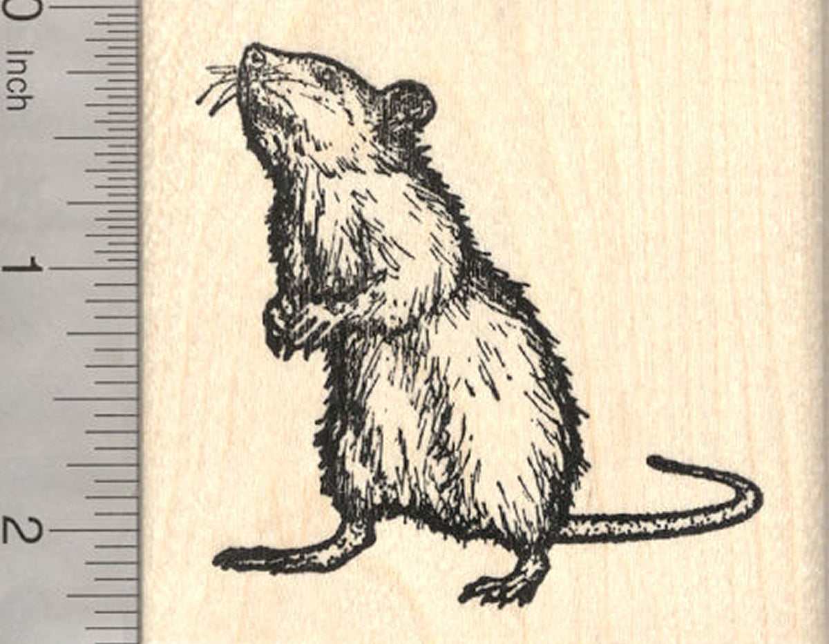 Rat Rubber Stamp, Standing Upright – RubberHedgehog Rubber Stamps